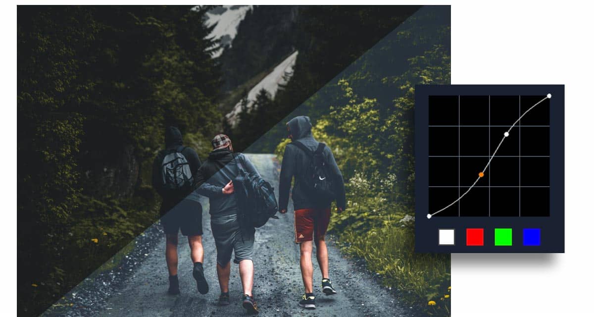 Color Grading Your Video with the Tone Curve | VideoStudio