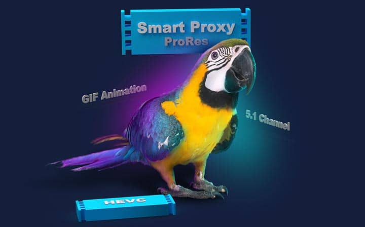 Your Ultimate Photo Video Editor – Corel Photo Video Bundle Ultimate